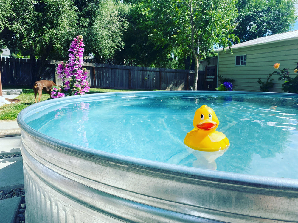 Buy Stock Tank Swimming Pools | Products | STPP – [STPP]